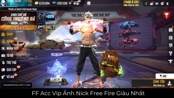 Top 10+ FF Acc Vip Ảnh Nick Free Fire Giàu Nhất Nam 2025